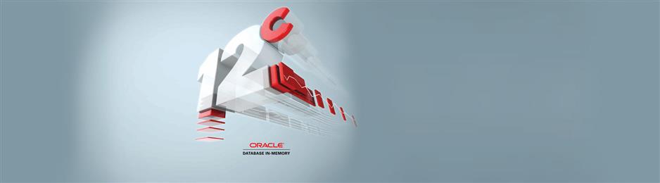 What Is So Special About Data Visualization For Oracle S Obiee 12c Sulekha Tech Pulse