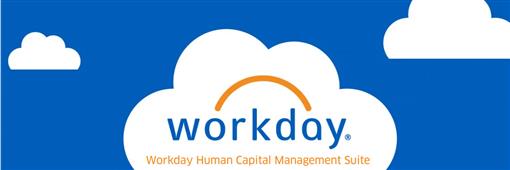 I want to know about Workday HCM Reporting and Project Modules ...